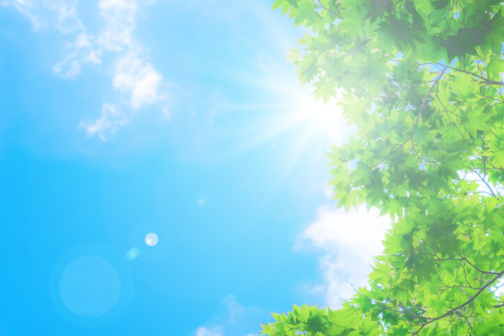 Climate-Friendly A2L Refrigerants & Alternatives to HFCs - TSG